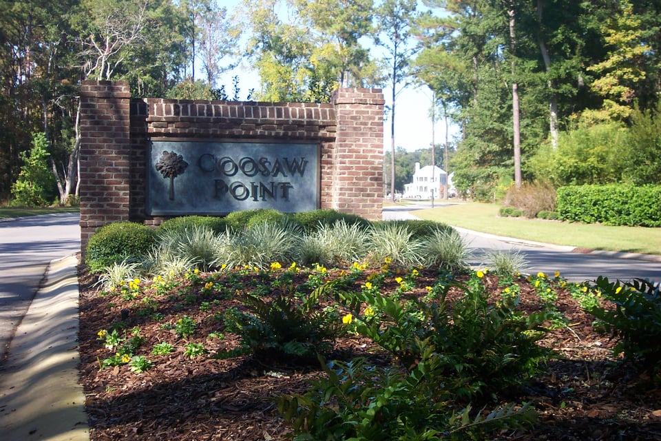 Coosaw Point | Neighborhood Guide