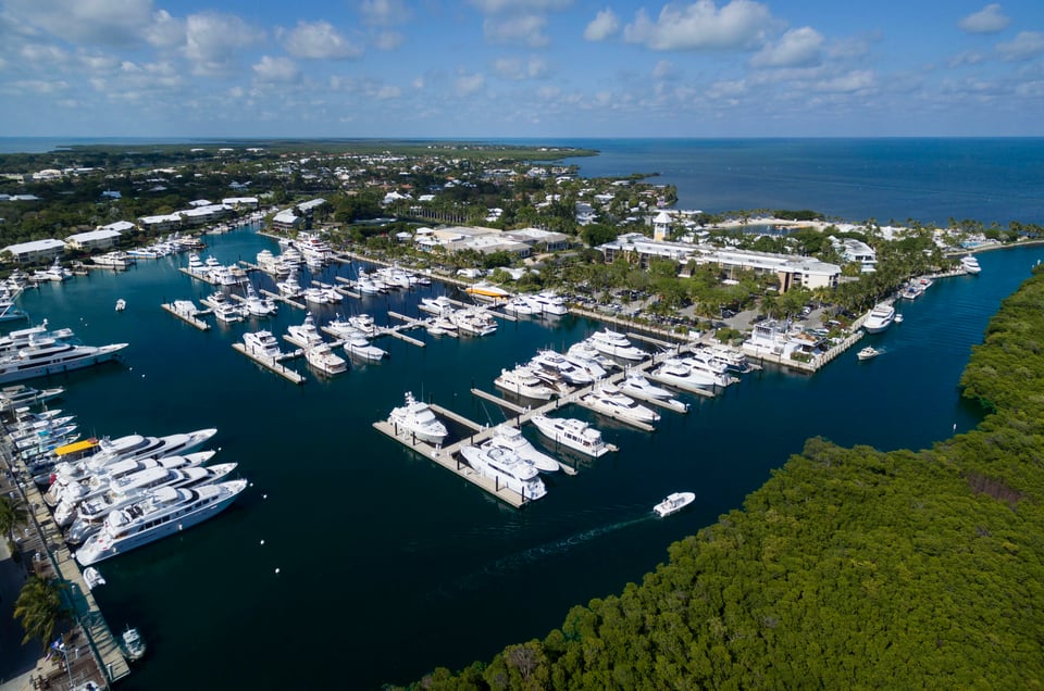 Marina | Neighborhood Guide