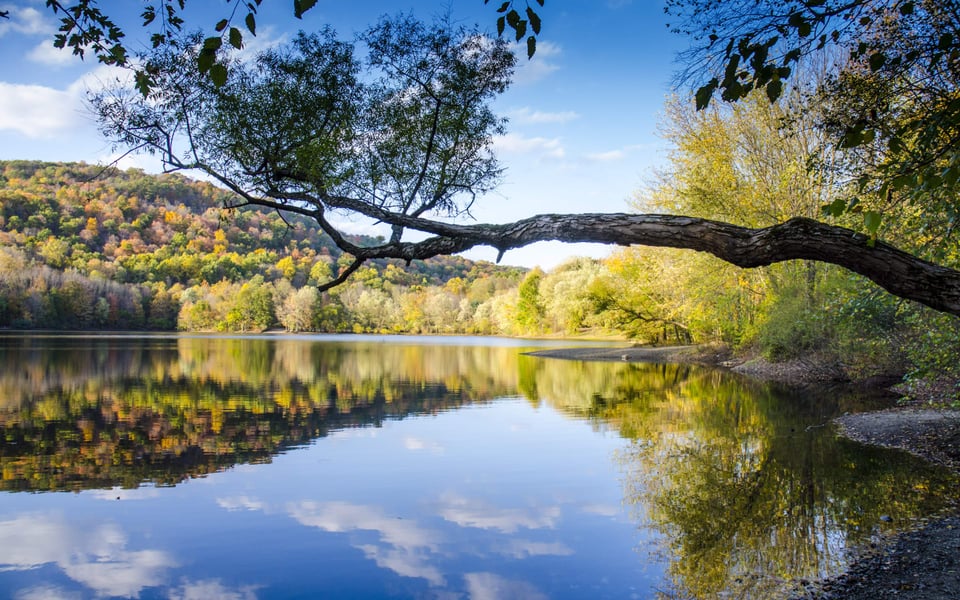 Mahwah | Neighborhood Guide