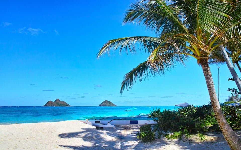11 Reasons to Relocate to Lanikai | Blog | Mike Dilks