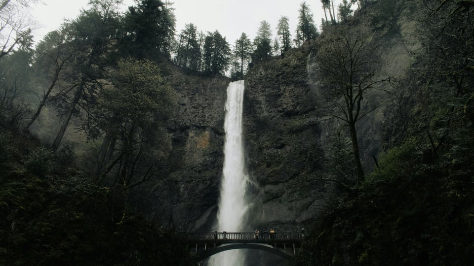 Multnomah Village | Neighborhood Guide | Park Lane Luxury
