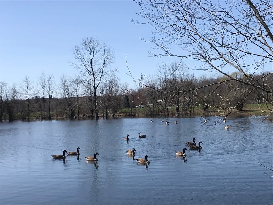 Fun Things to Do in Dutchess County This February | Debbie Allan | Blog
