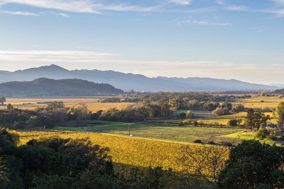 Petaluma CA ZIP Code Guide: 94952 vs 94954