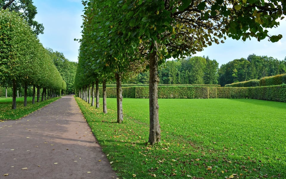 Southampton | Neighborhood Guide | Jennifer Friedberg | Hamptons Luxury ...