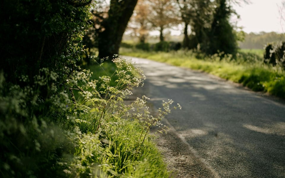 Charlotte’s Greenway Trails: Where Nature Meets Urban Living | Blog ...