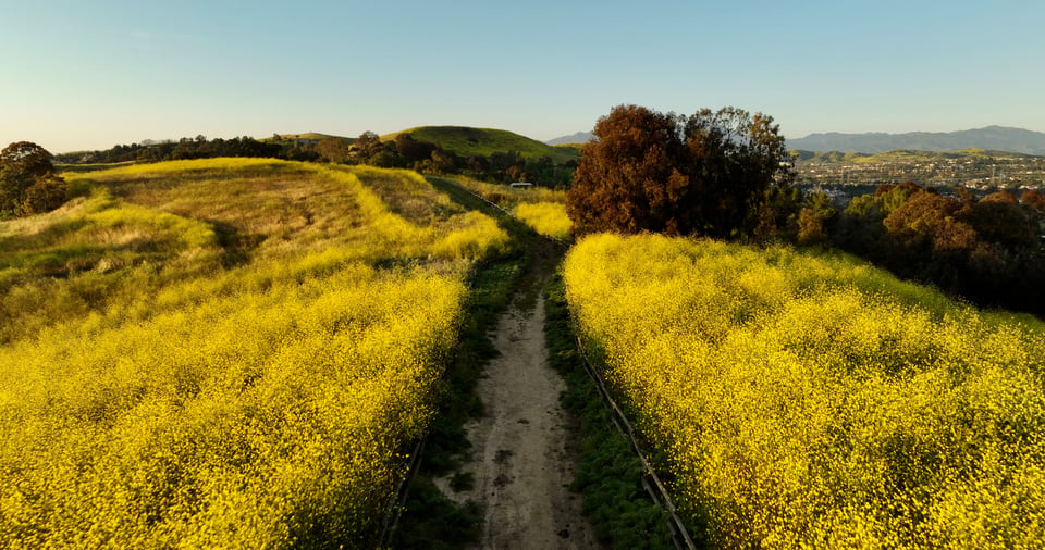 Orange County Fall Events & Festivals 2025 | Pumpkin Patches, Family ...