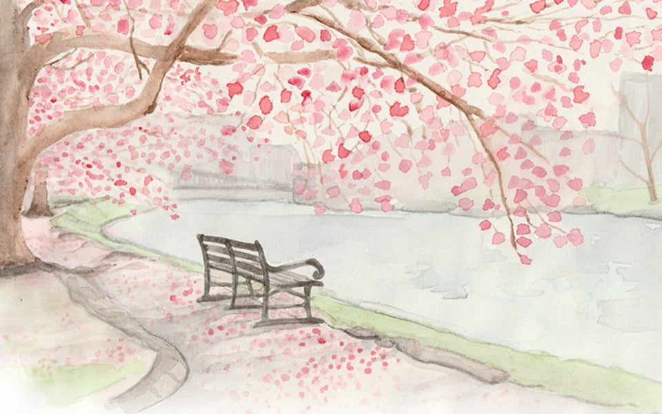 Spring Market Boom: How the Spring Equinox Influences Real Estate ...