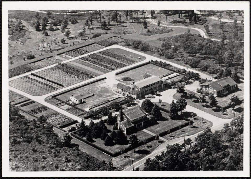 The Rich History of Osterville: From Native American Roots to ...