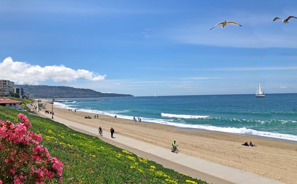 Redondo Beach | Neighborhood Guide
