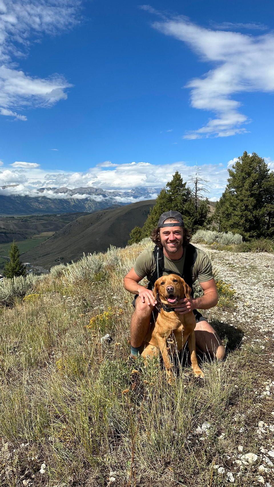 Tips for Moving with Pets | Blog | Colby Murphy