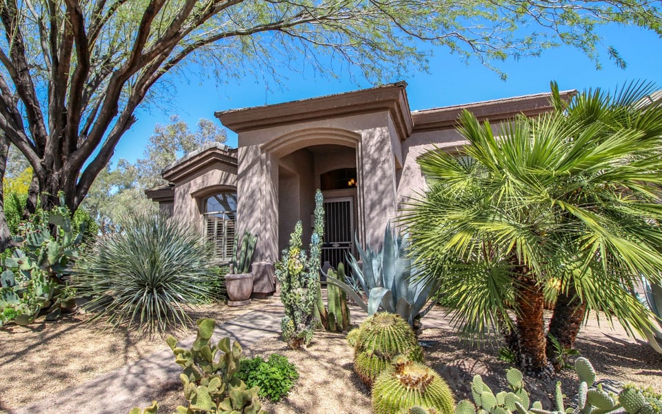 Phoenix (Desert Ridge) | Neighborhood Guide | Judy Hudek