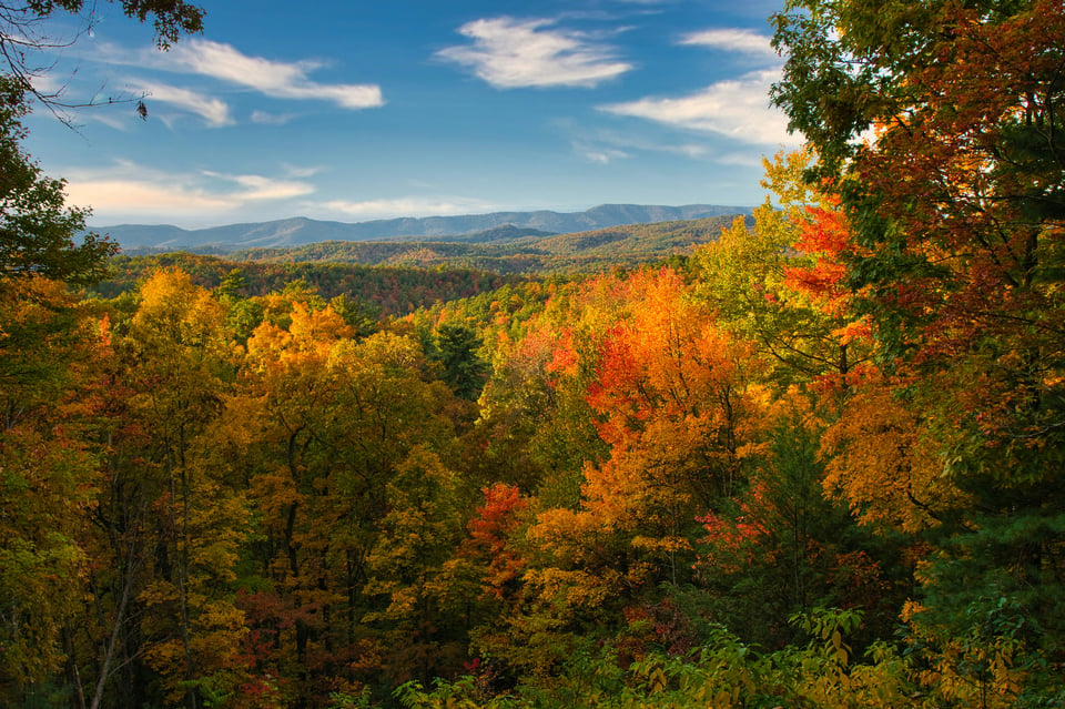 The Ultimate Fall Guide to Nashville & Knoxville, TN | Festivals ...