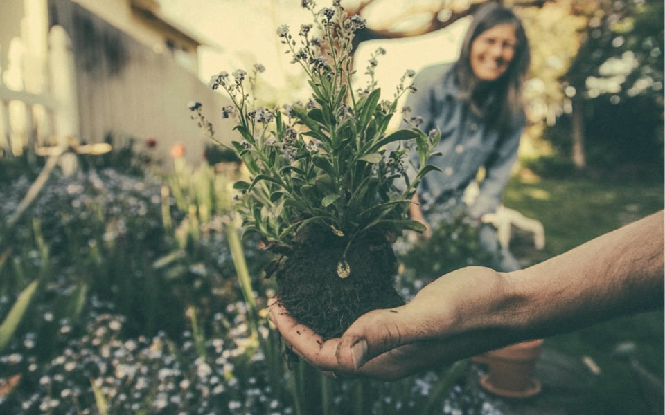 Tips for Making Your Home More Eco-Friendly | Blog | Randy Waller