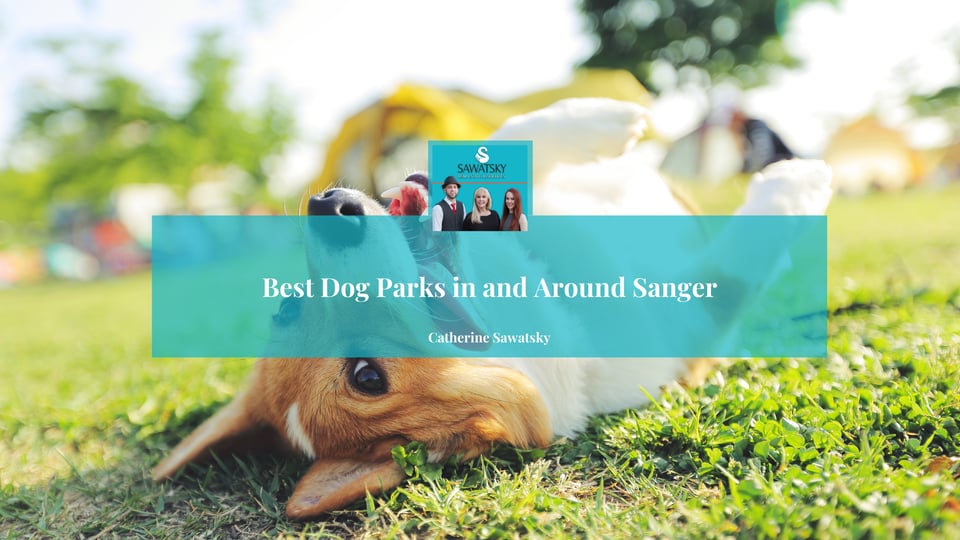 Best Dog Parks in and Around Sanger—Top Spots for Pets and Playtime ...