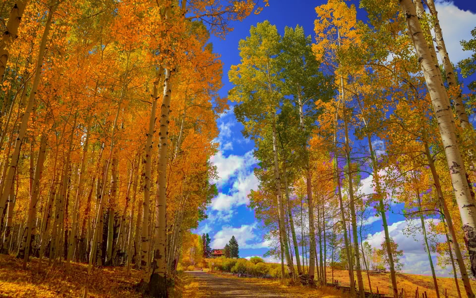 Explore Placerville | Regional Guide | Amanda F. Swain