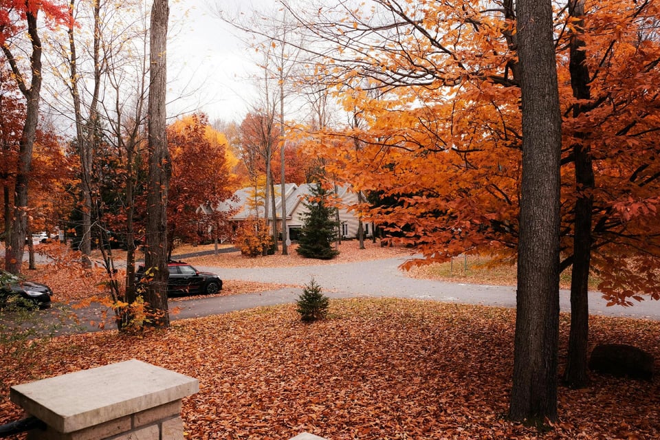 Fall Housing Market Questions: Insights & Expert Advice