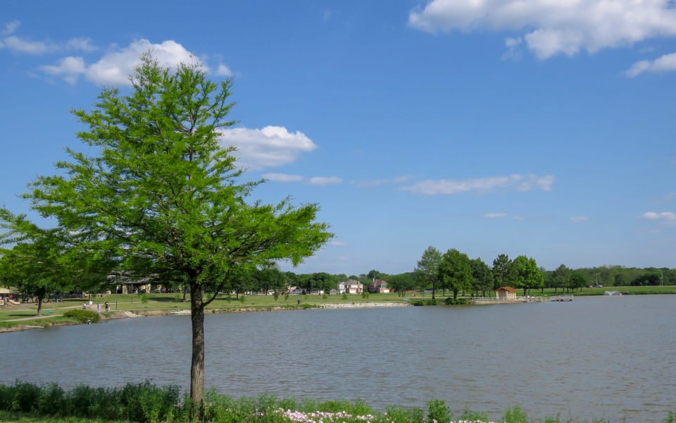 Explore Diverse and Exciting Plano Neighborhoods