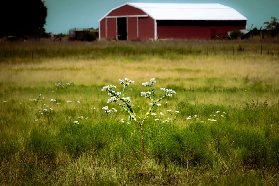 A Patchwork of Fields: Relishing Georgia's Rural Landscapes | Georgia's ...
