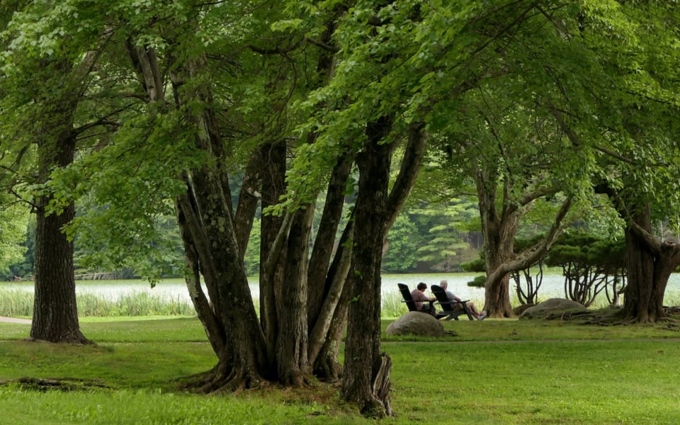 A Guide to Buckhead GA Parks | Blog | The Katie McGuirk Team