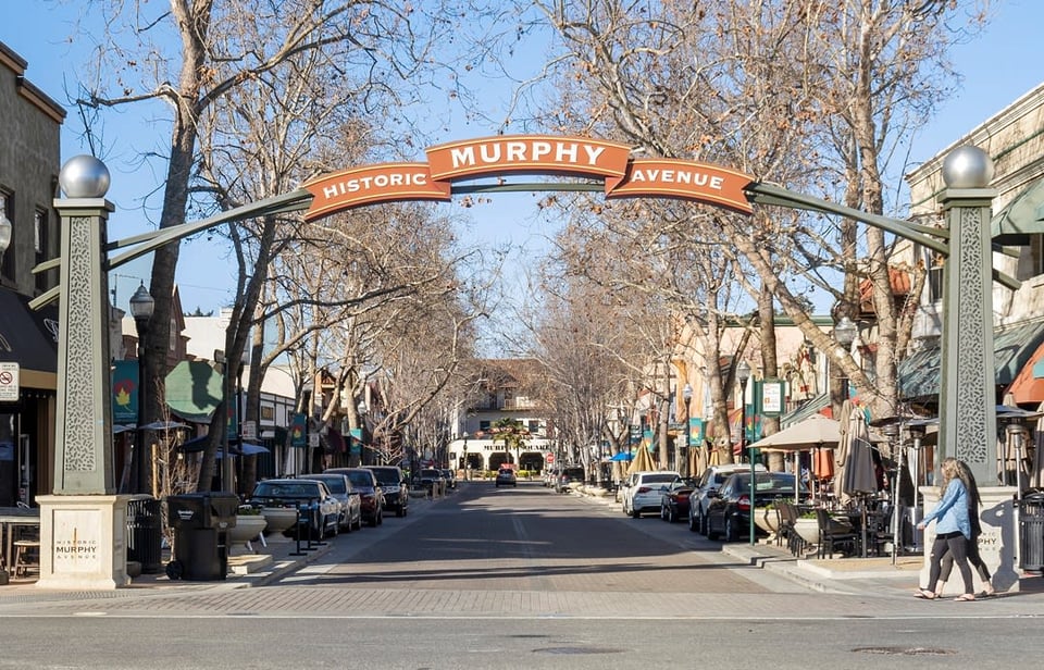 Sunnyvale Homes for Sale | Luxury Real Estate Guide