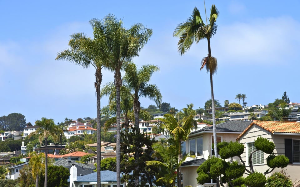 Normal Heights Real Estate | Community Guide | Griswold Group