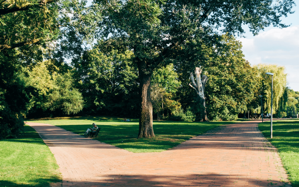 A Guide to Edmonds Parks | Blog | Mary Pong