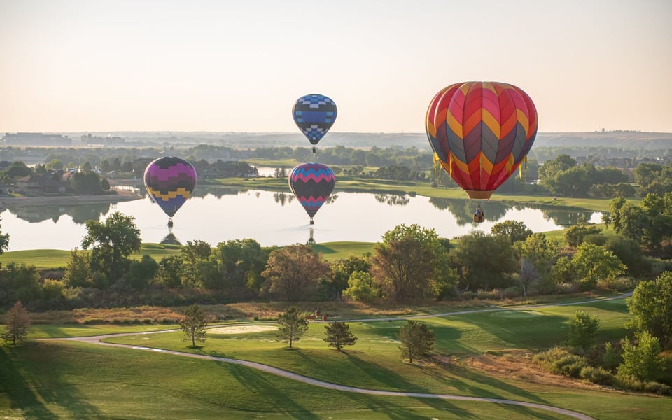 Discover Windsor Neighborhood Guide | Shirley Watson