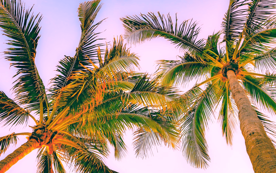 Why Admirals Cove Stands Out Among Jupiter, FL Country Clubs | Blog ...