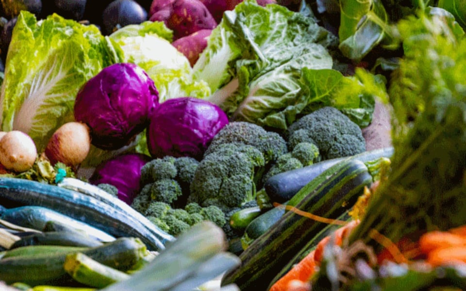 Fresh Local Food is Back: FH Farmers Market Returns | Blog | The ...