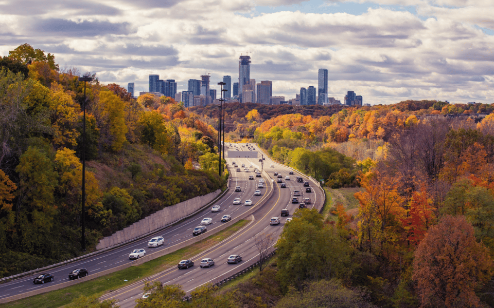 Relocator's Guide to Toronto | Blog | Giulia Gallina - Giulia Gallina