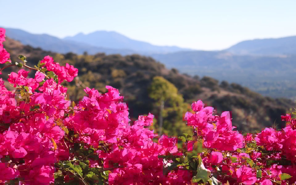 Gunbarrel Boulder | Neighborhood Guide | Live the Rockies Group