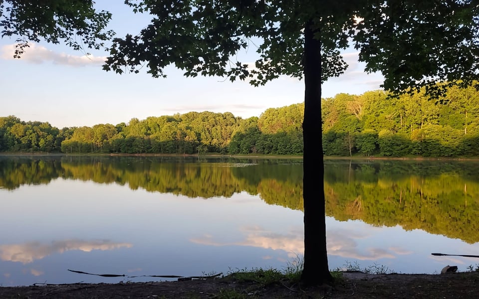 Things to Do in Silver Spring | Blog | Argent Realty