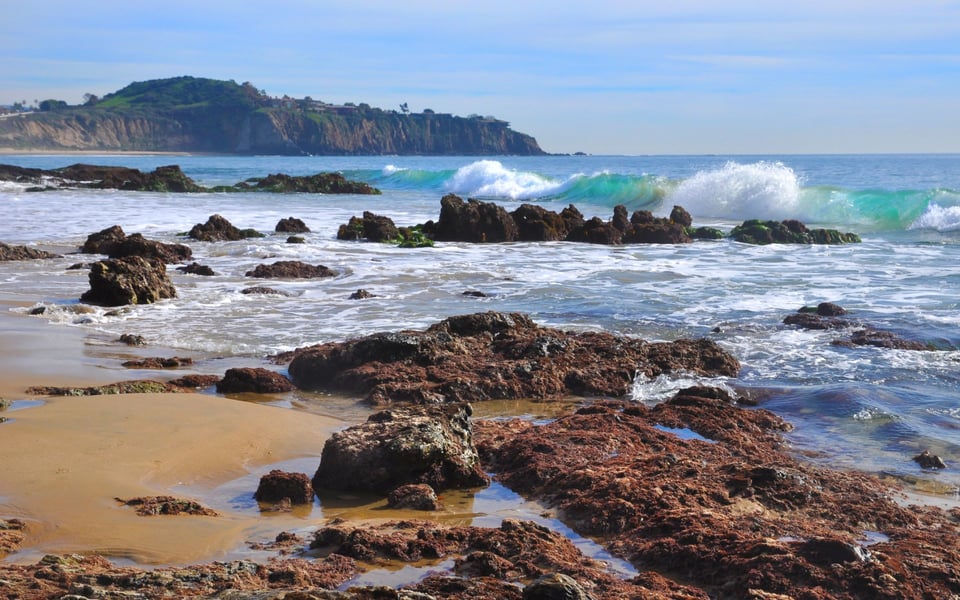 Crystal Cove | Community Guide