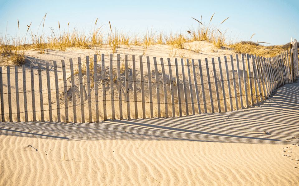 A Guide to The Hamptons Parks | Blog | Katie Haggerty