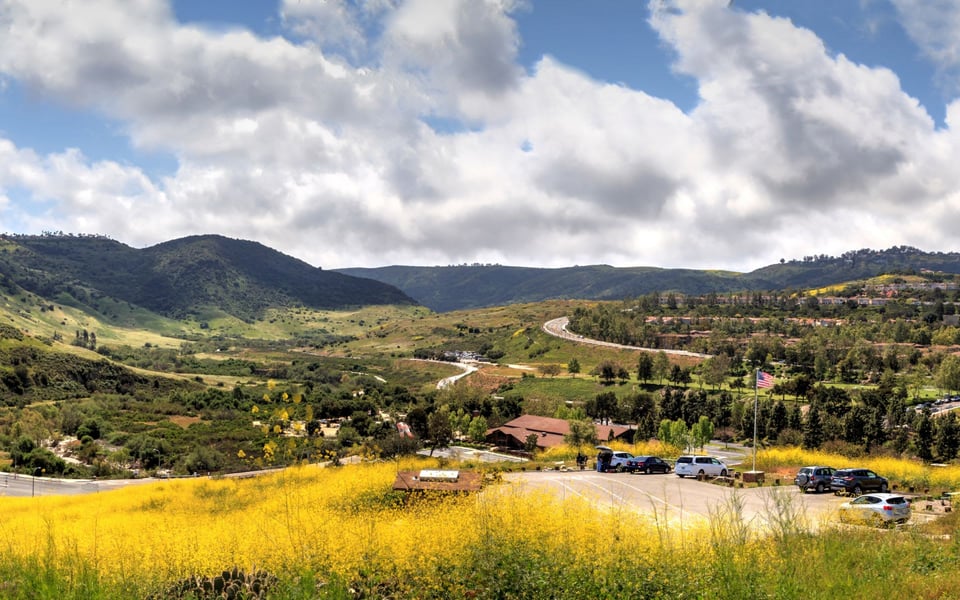 Aliso Viejo Community Guide | Brent & Marisa Whitaker