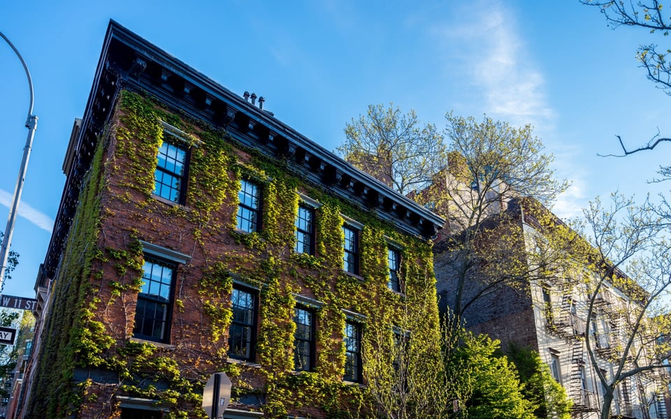 Boerum Hill | Neighborhood Guide