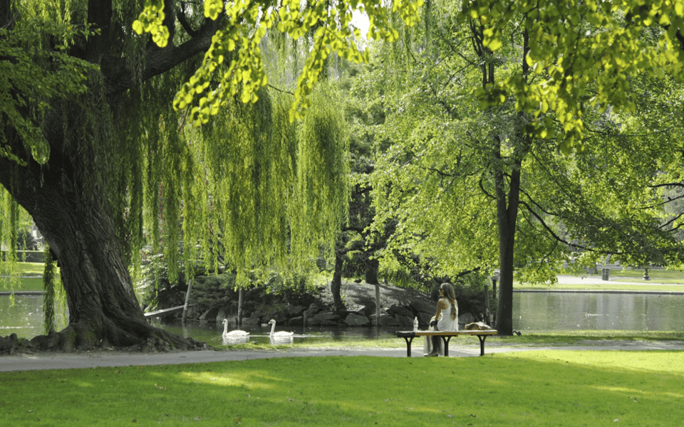Mahwah NJ Parks Guide | Explore Top Outdoor Escapes