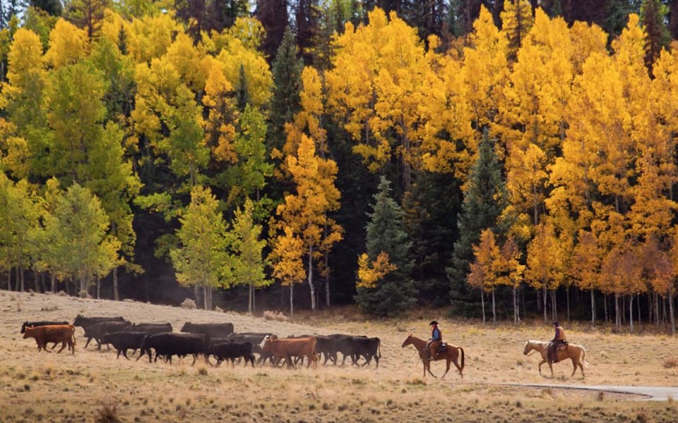 Aspen's Best-Kept Secret: Exploring the Serene and Scenic Ranches of ...