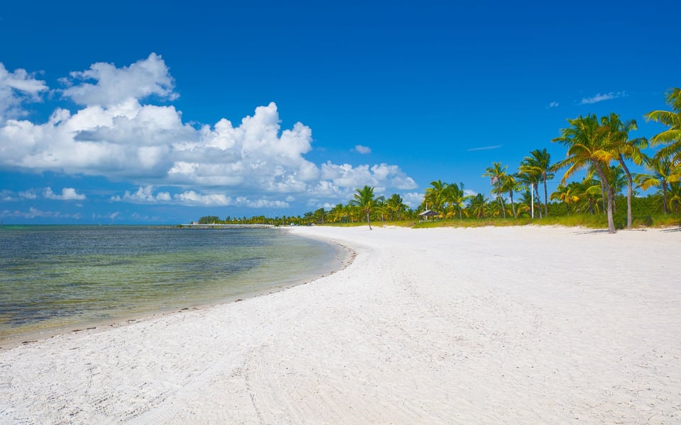 Siesta Key | Neighborhood Guide