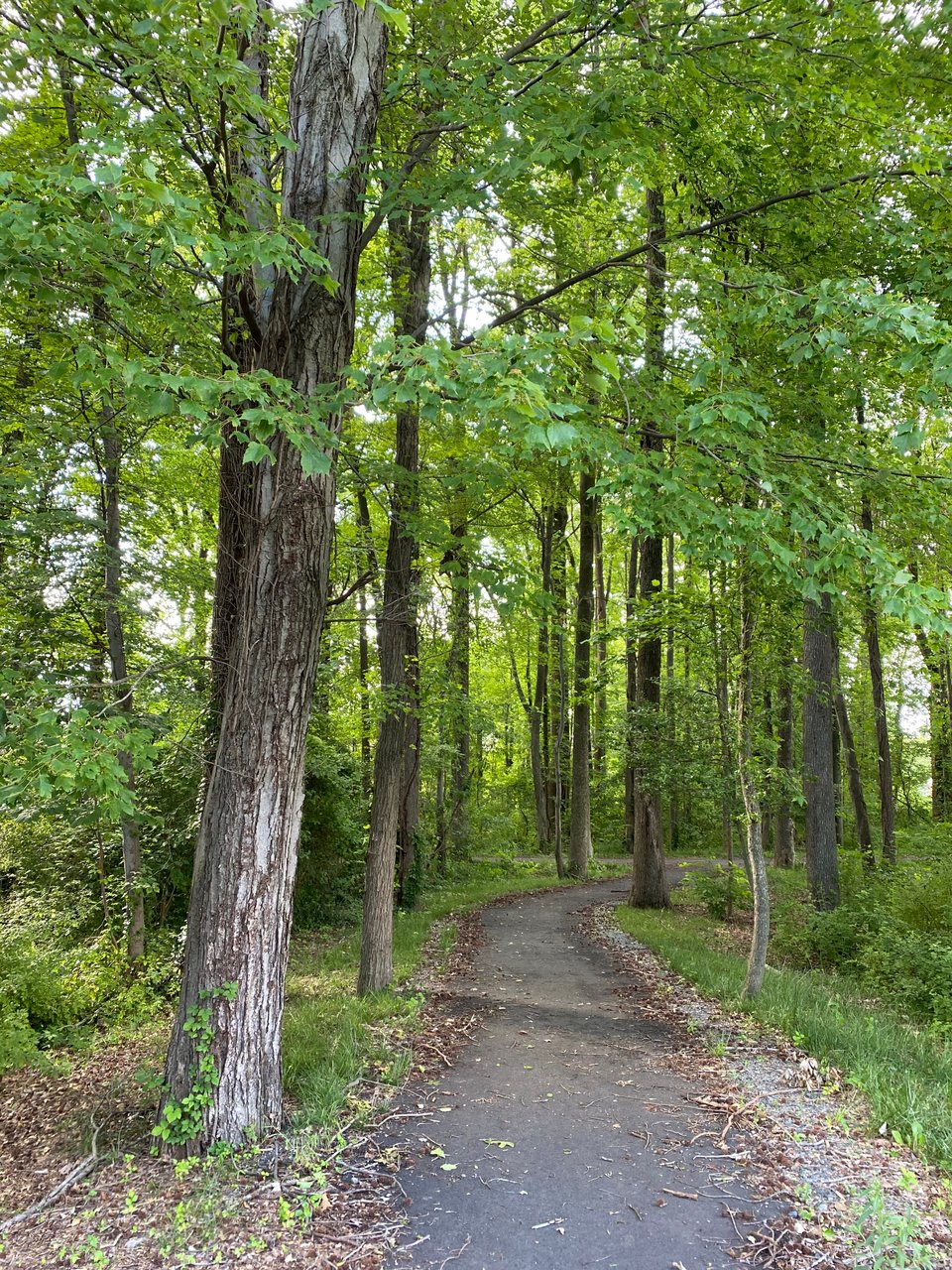 Annandale | Neighborhood Guide | Three Stones Residential