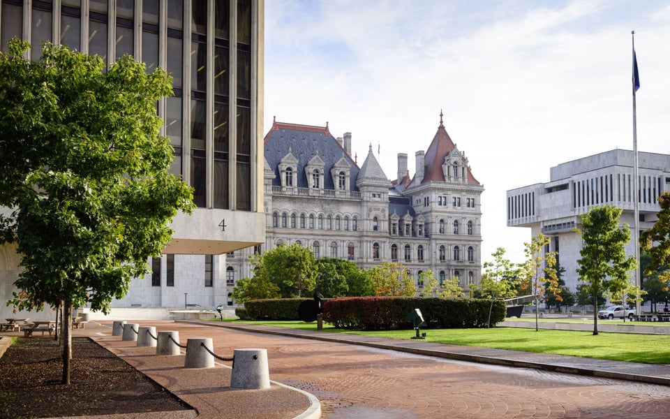 Albany | Neighborhood Guide