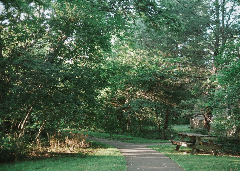 The Grove | Neighborhood Guide | Middleton Team