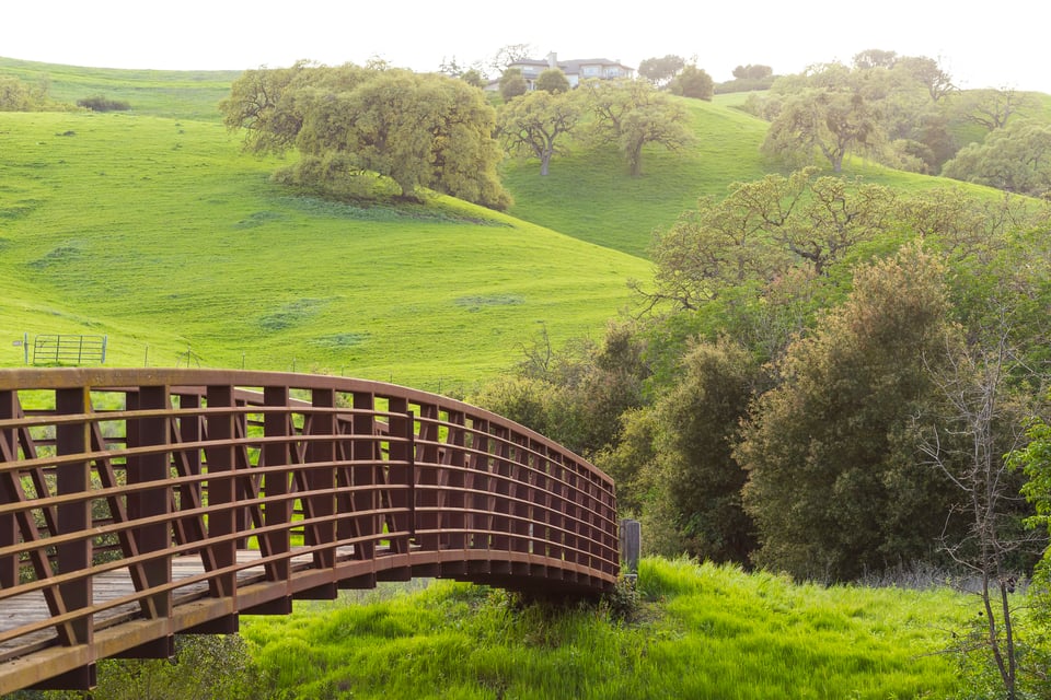 Alamo | Community Guide | Gina Piper