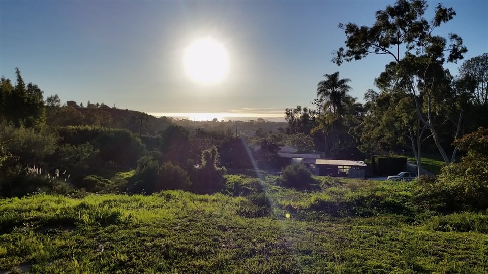 01 Princehouse | Bree Bornstein