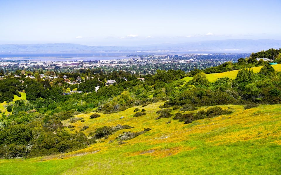 Discover Menlo Park: Your Ultimate Neighborhood Guide