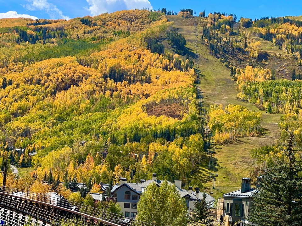 Discover the Magic of Vail's Fall Foliage