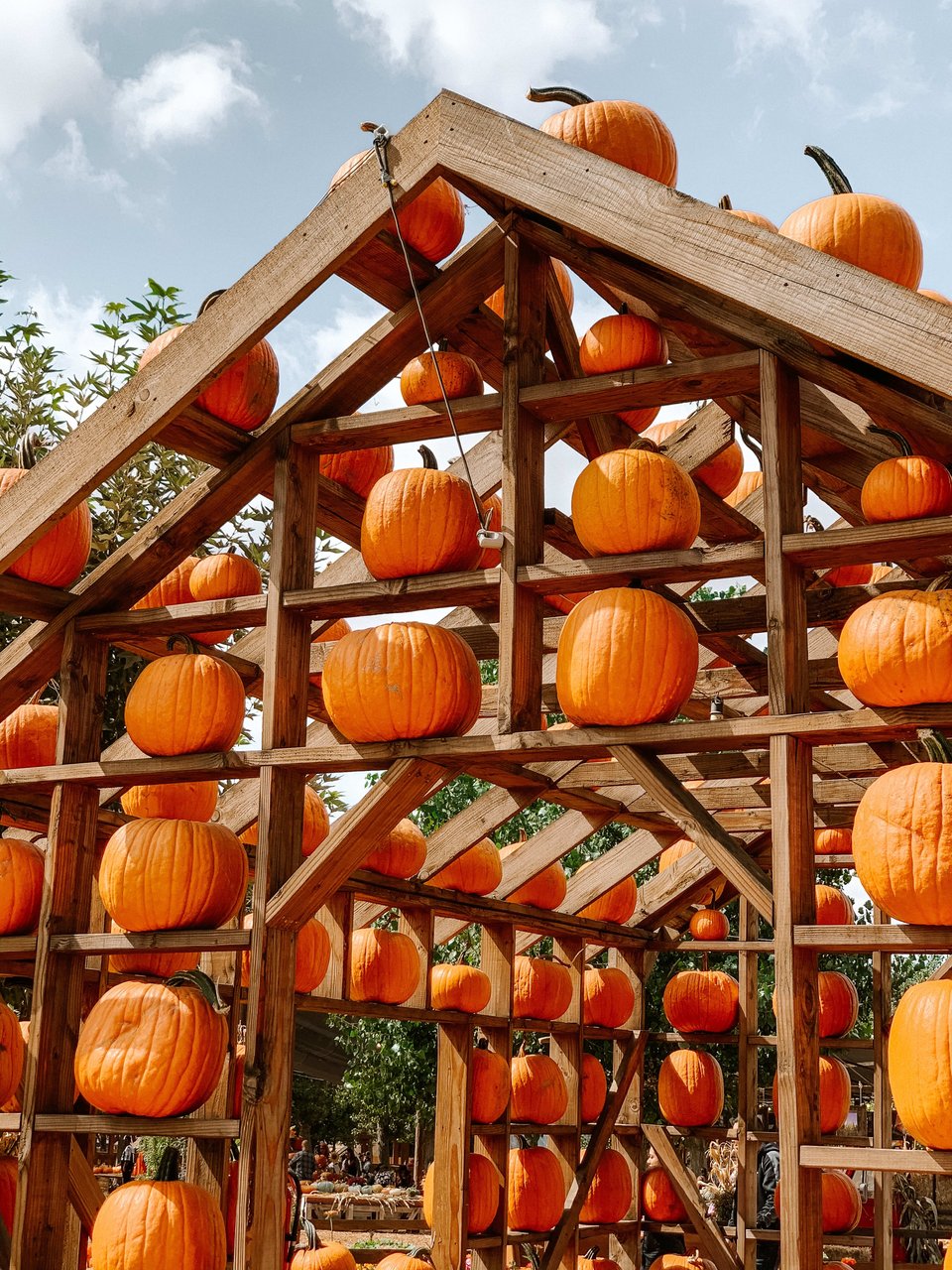 Top 5 Spots for Fall Festivals and Fun in and Around Austin