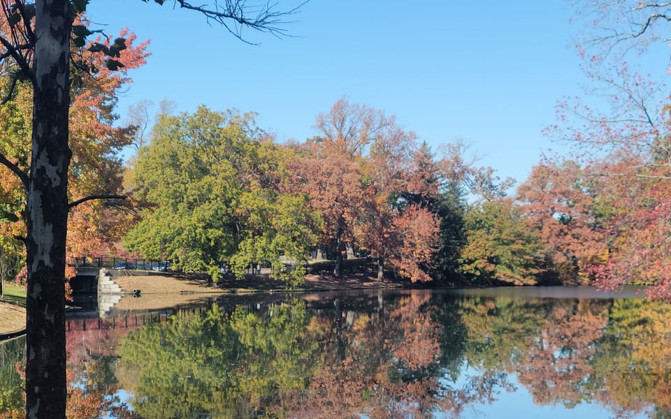Roger Park | Neighborhood Guide