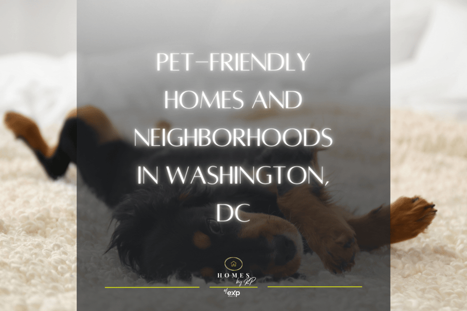 Pet-Friendly Homes, Washington DC, Pet-Friendly Neighborhoods
