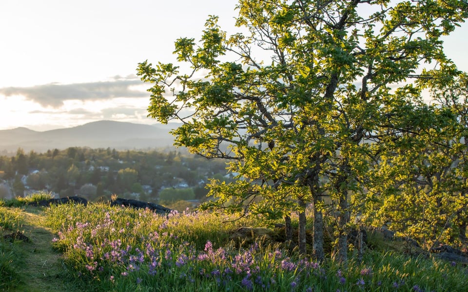 Camas, WA | Community Guide | Shaunna Karlous
